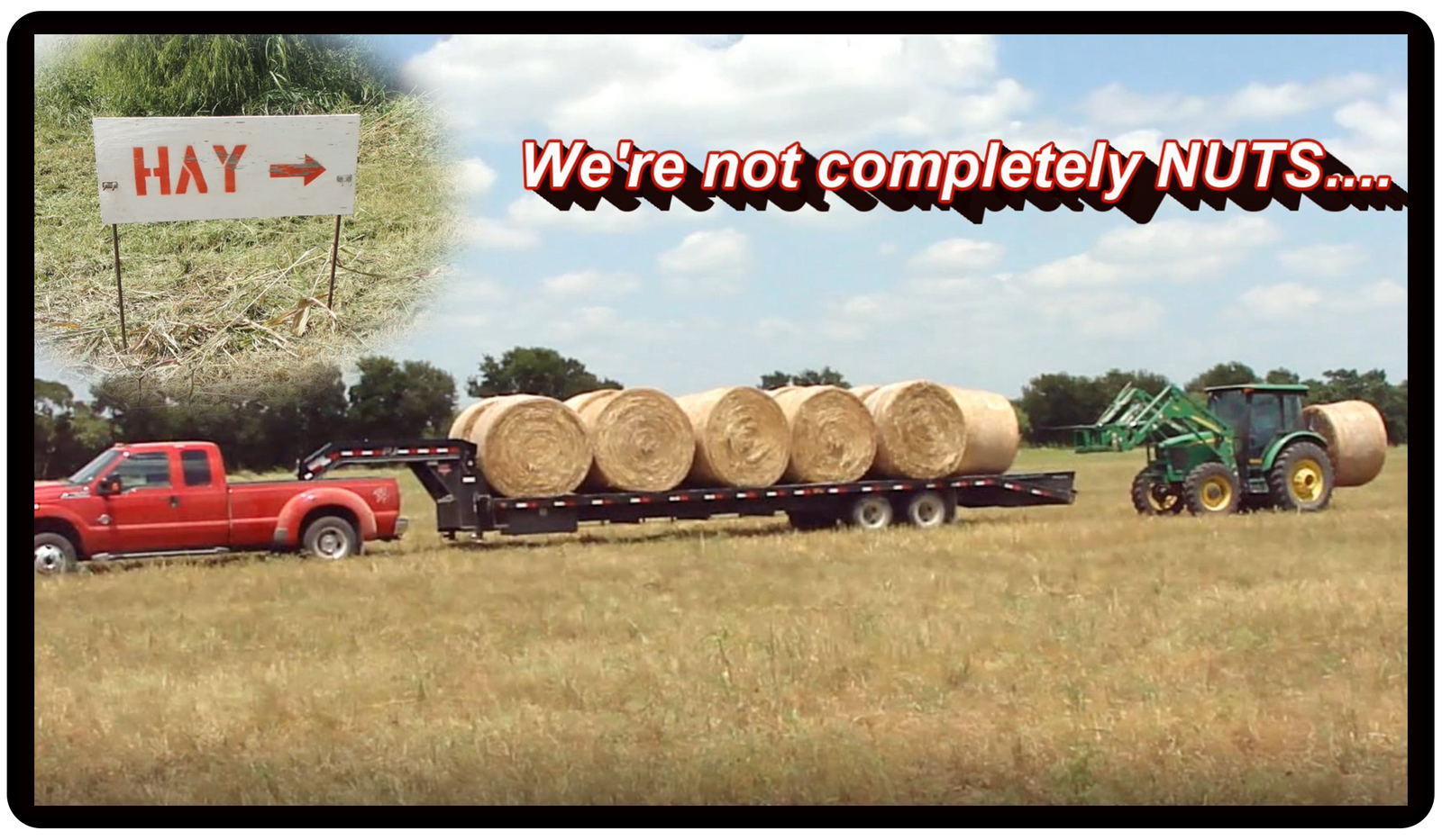 How We Do It – comalpecanfarm