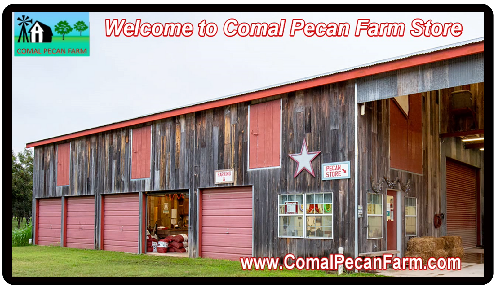 How We Do It – comalpecanfarm