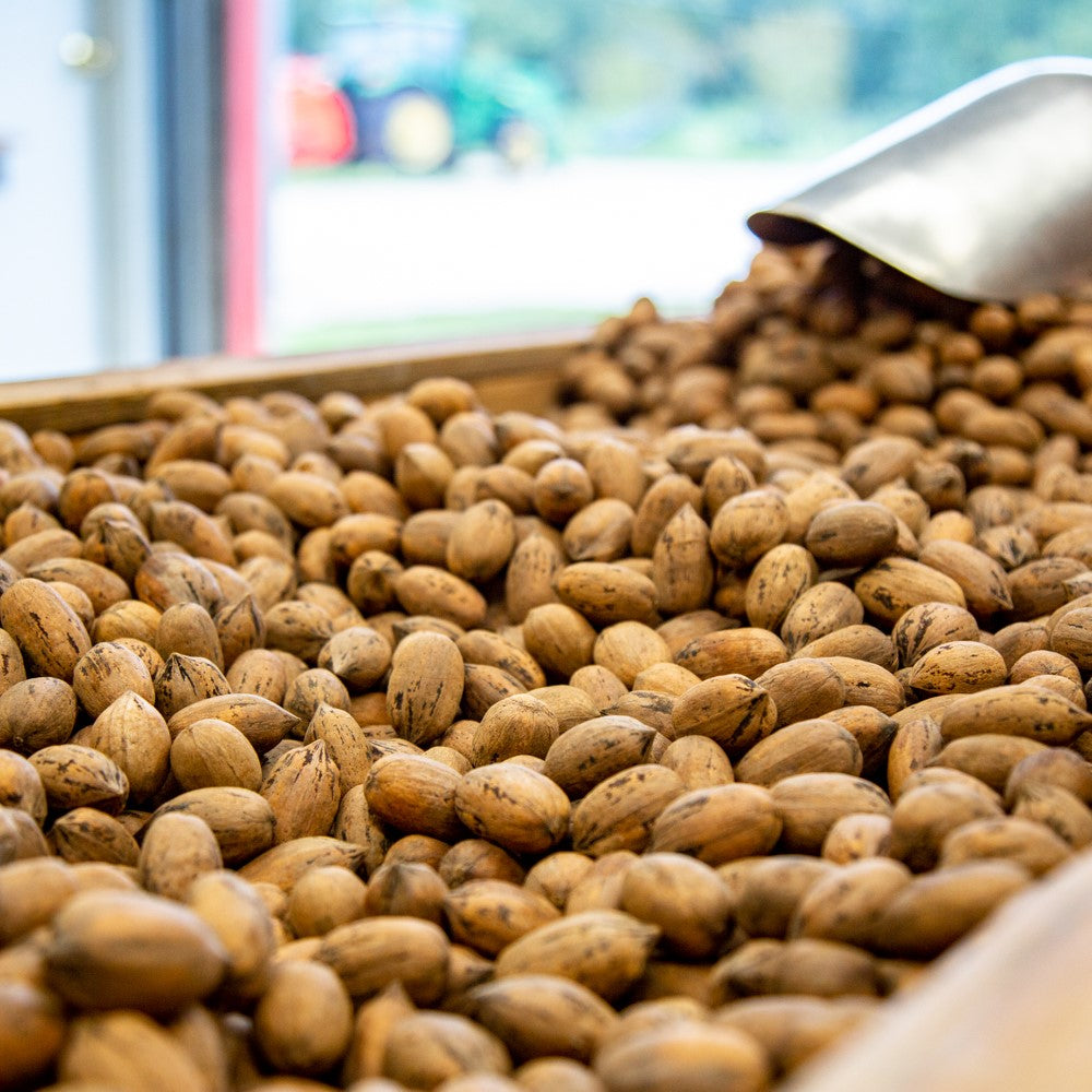 Inshell Pecans – comalpecanfarm